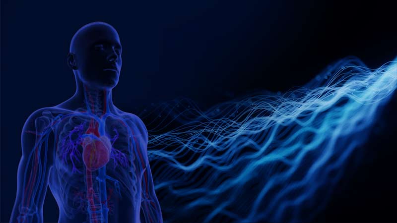 Online CME for Physicians | AAFP