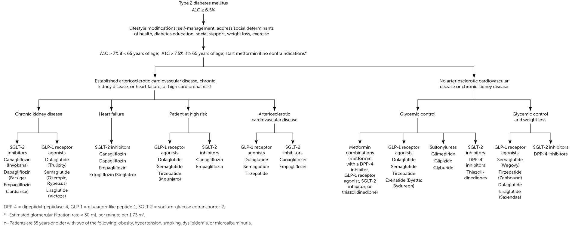 Management of Type 2 Diabetes Mellitus With Noninsulin Pharmacotherapy ...