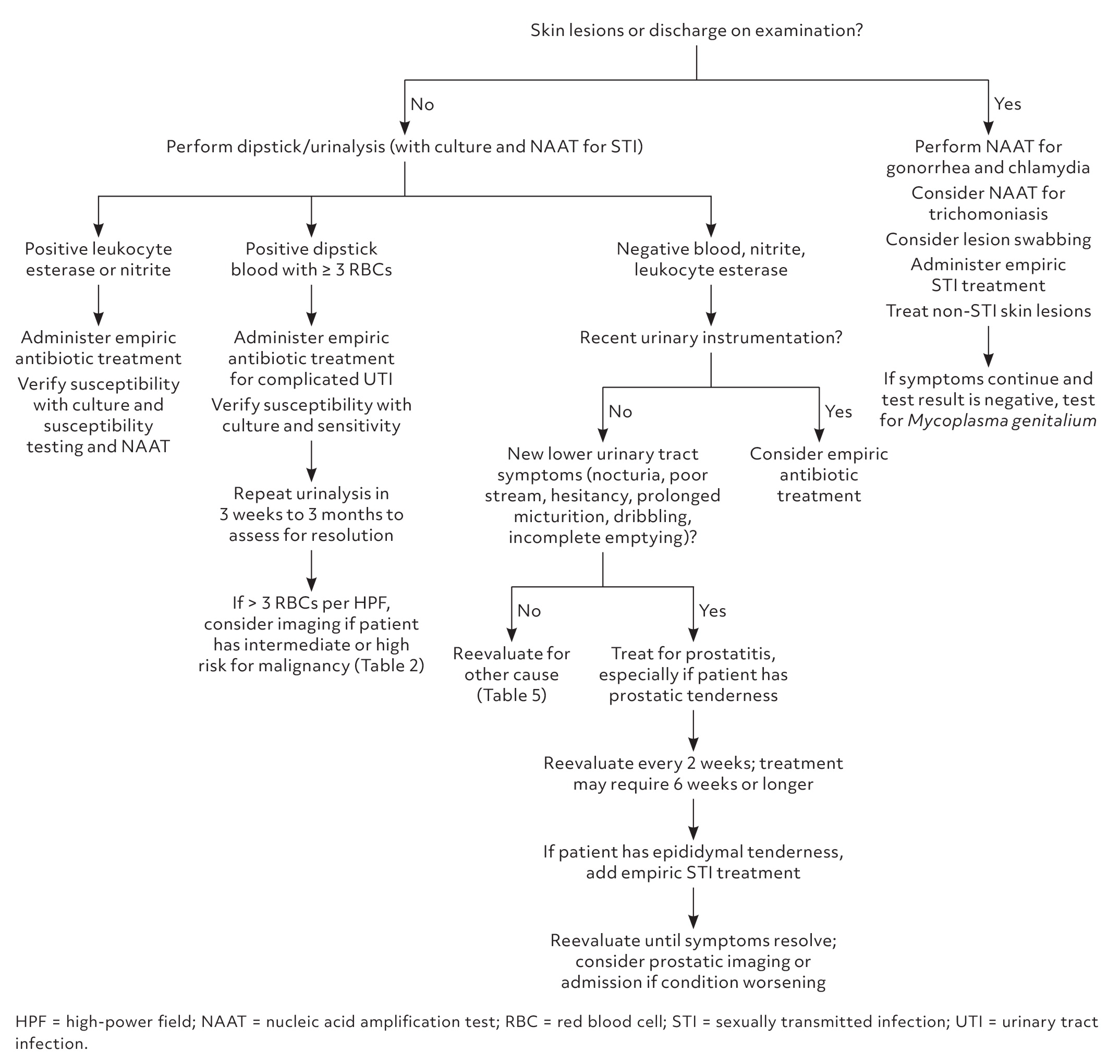Dysuria: Evaluation and Differential Diagnosis in Adults | AAFP