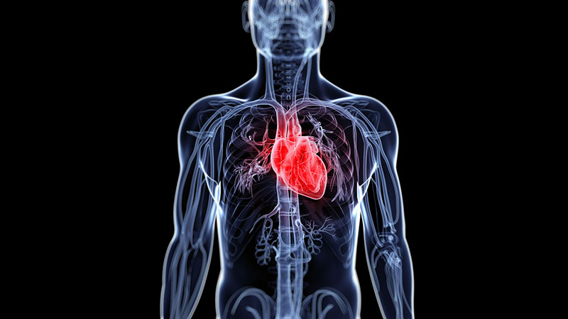 Cardiovascular Conditions Online CME | AAFP