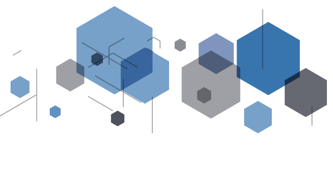 National Conference of Constituency Leaders (NCCL) | AAFP