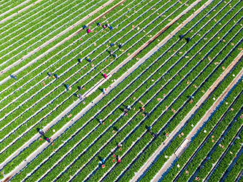 New Global Health Webinar Series Launches | CME