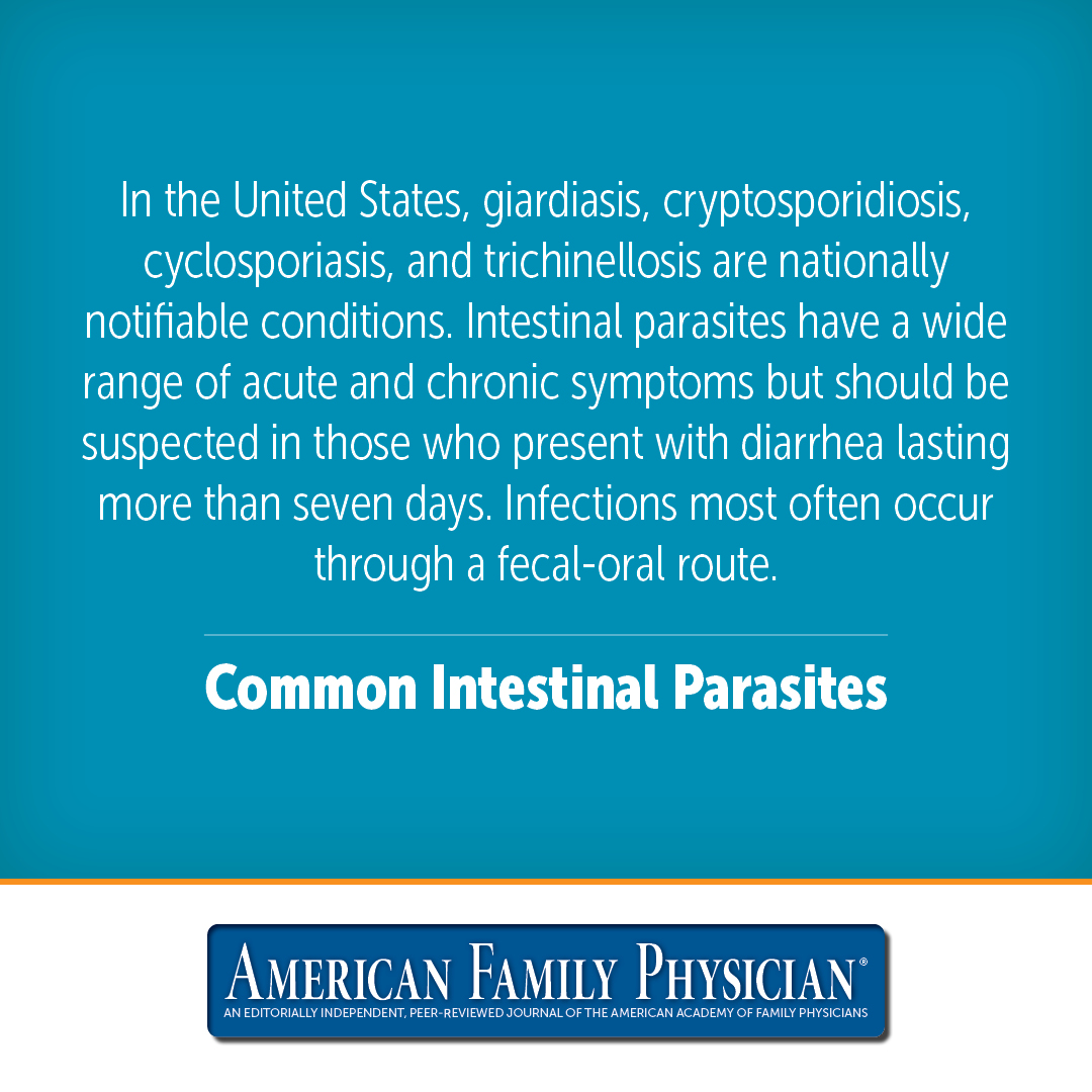 Common Intestinal Parasites | AAFP